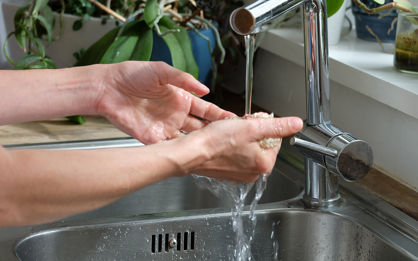 Resilient Sponge | Green Product & Concept Award