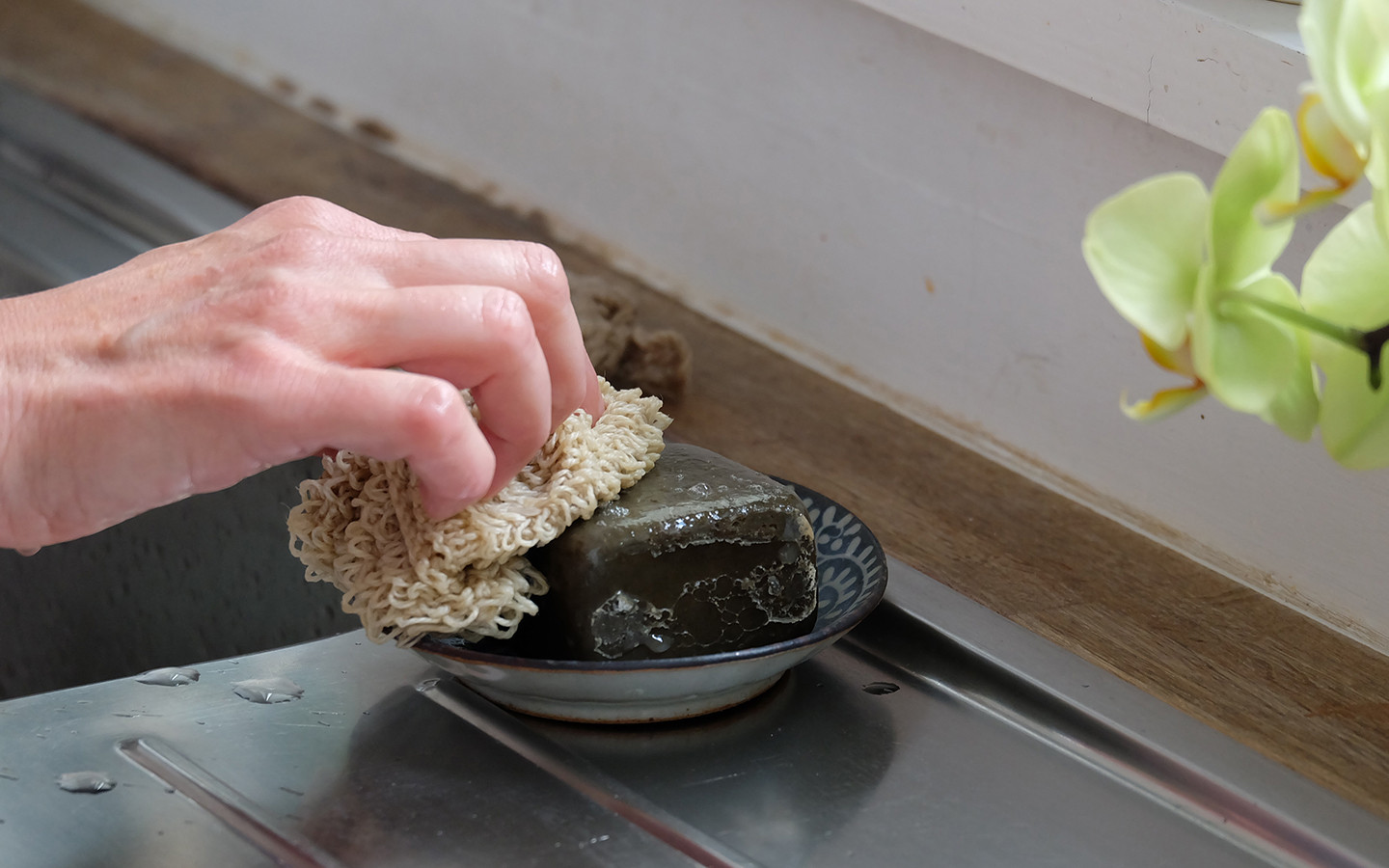 Resilient Sponge | Green Product & Concept Award