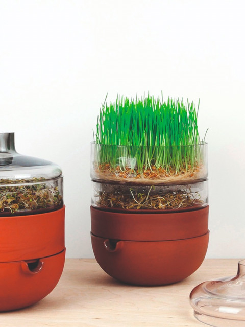 myGROW | Green Product Award