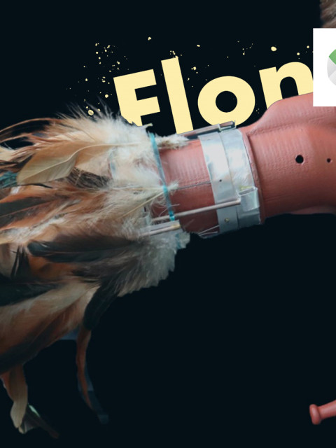 Flone | Green Product Award