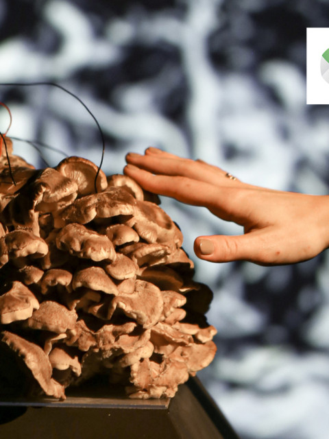 Interwoven | Green Product Award