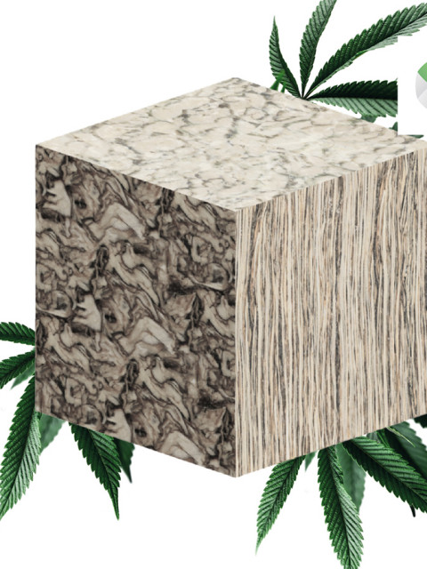 The True Green | Green Product Award