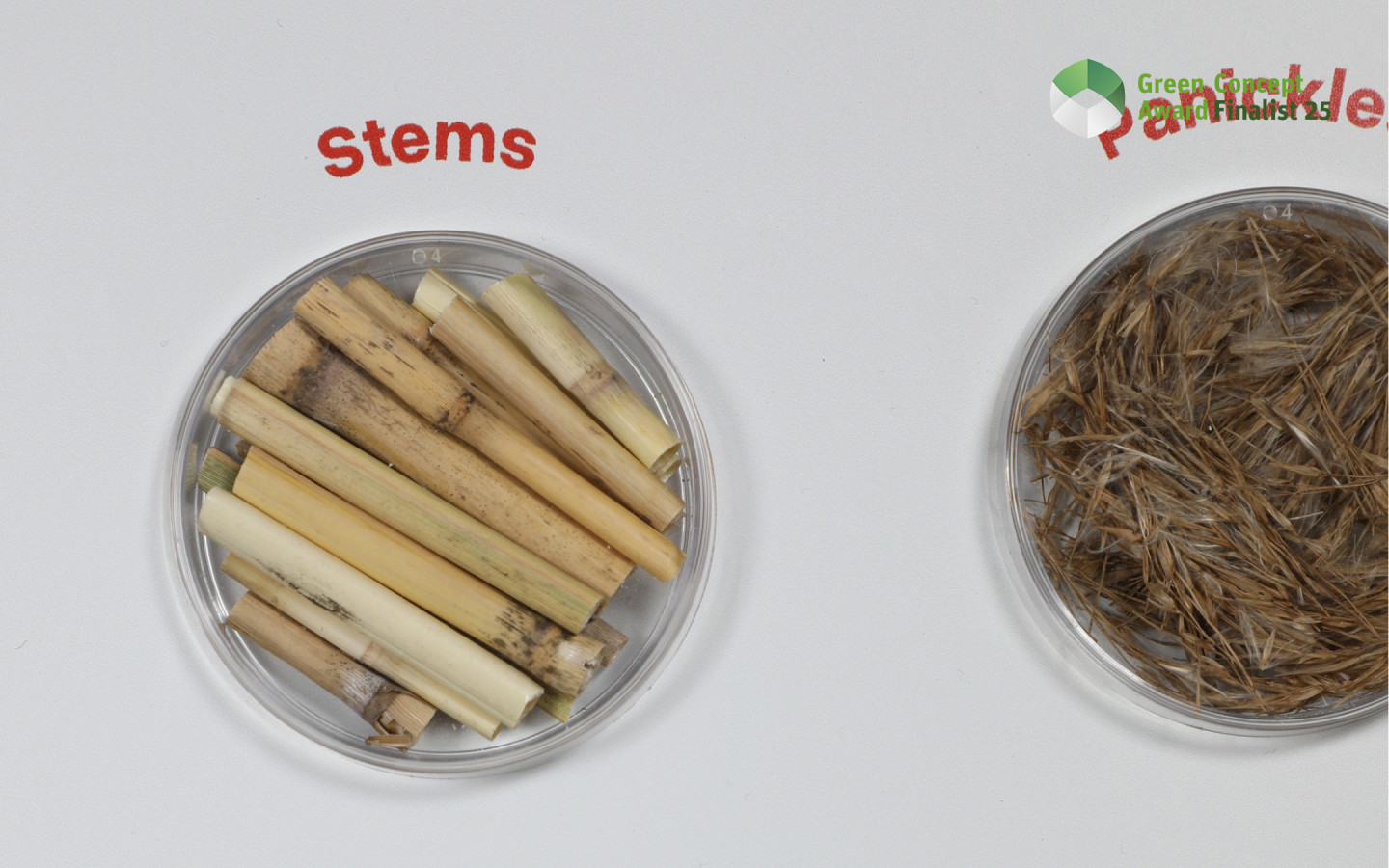 Reedboards | Green Product Award