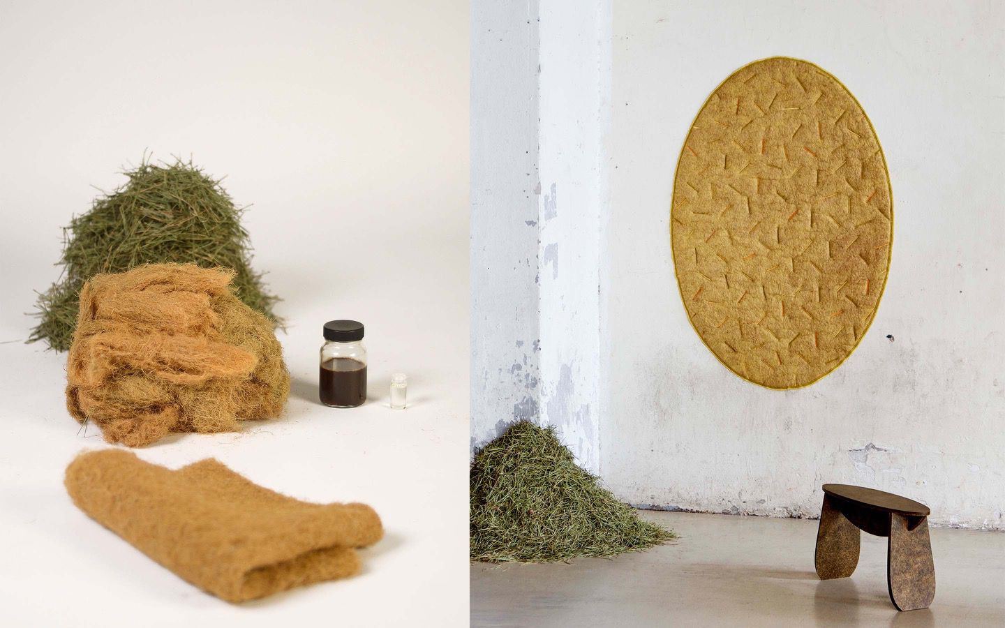 Forest Wool/Pine needle fiber | Green Product & Concept Award