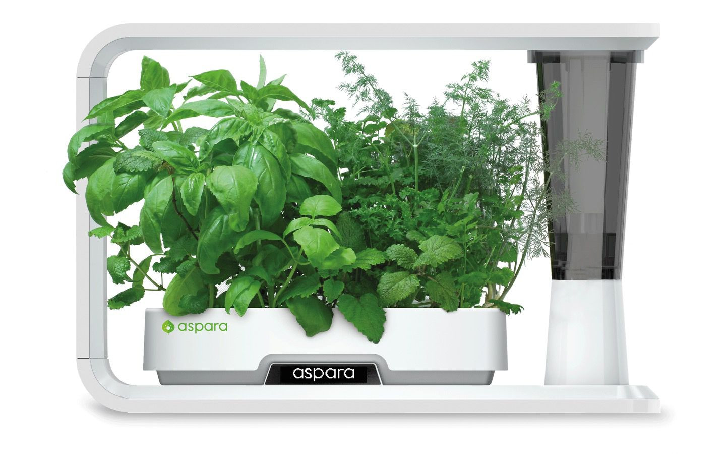 aspara™ | Green Product & Concept Award