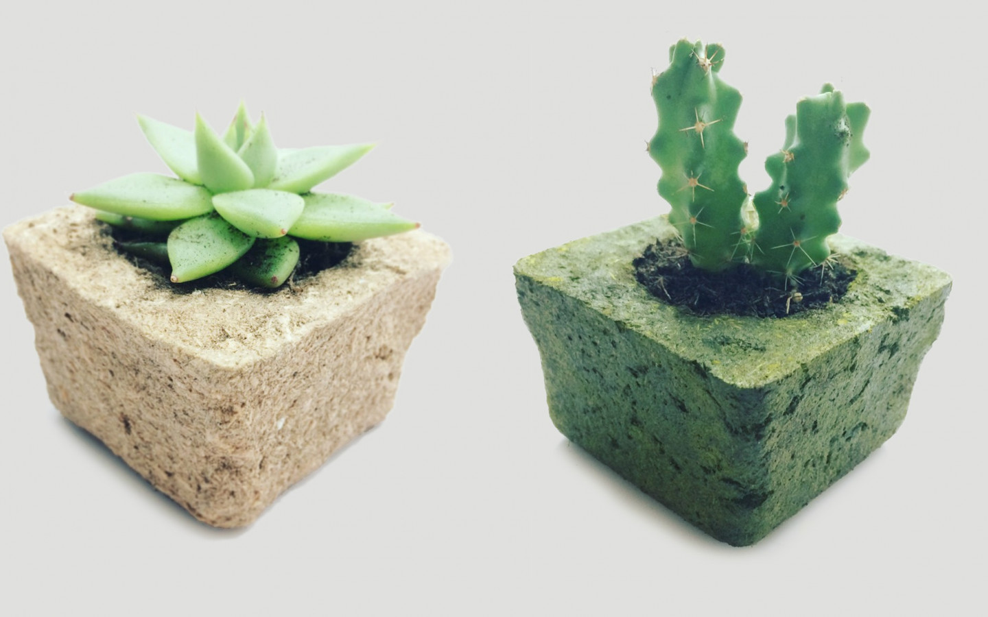 Bio-Based Materials | Green Product & Concept Award